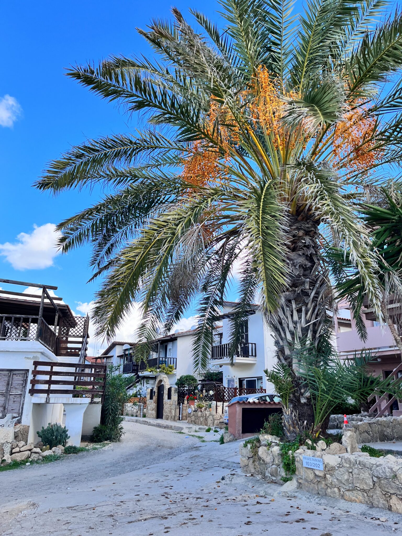 Cypr Atrakcje W Okolicach Pafos Subiektywny Przewodnik Journeychasers Blog Podróżniczy