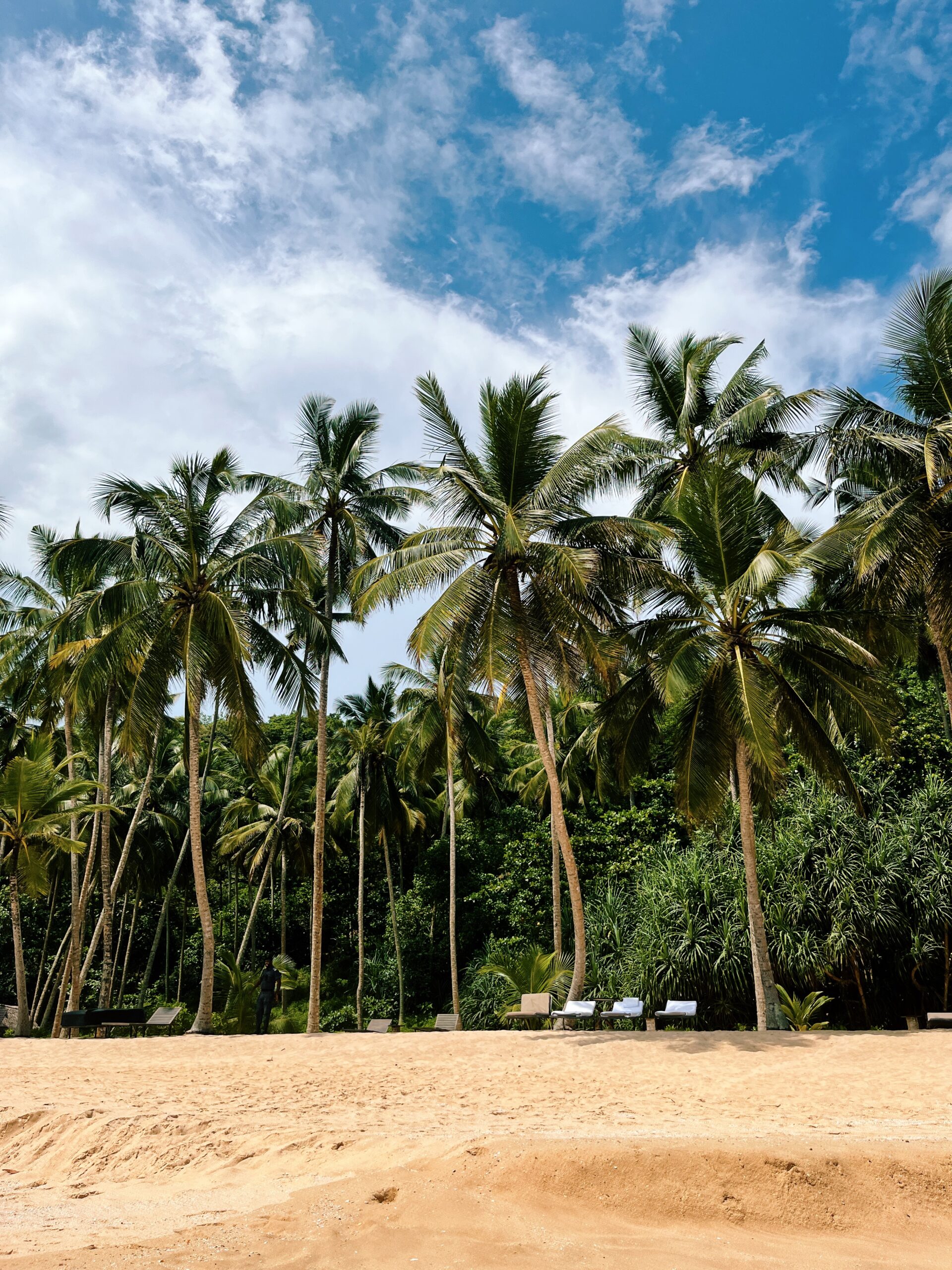 Sri Lanka: najpiękniejsze plaże. Tangalle, Mirissa, Unawatuna ...